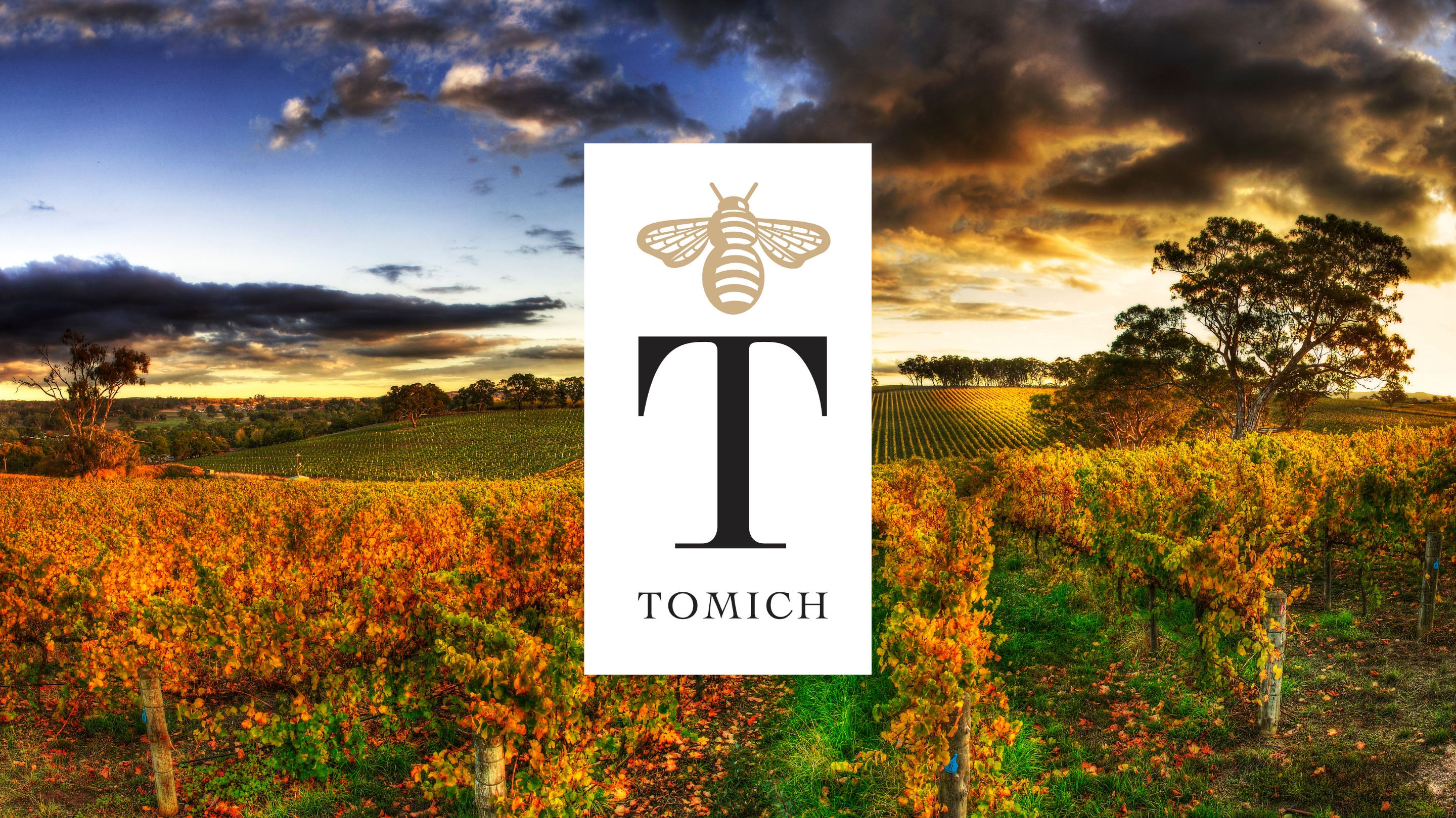 Tomich Wines