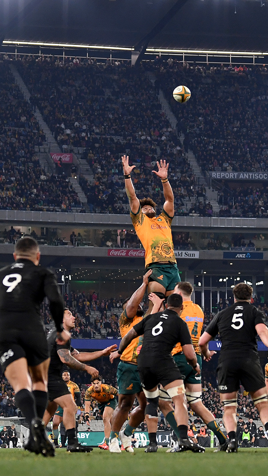2026 Bledisloe Cup: Wallabies v All Blacks at Accor Stadium