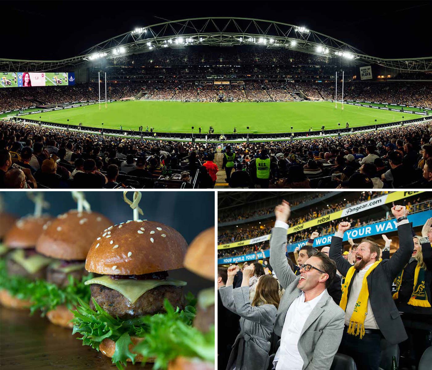2026 Bledisloe Cup: Wallabies v All Blacks at Accor Stadium