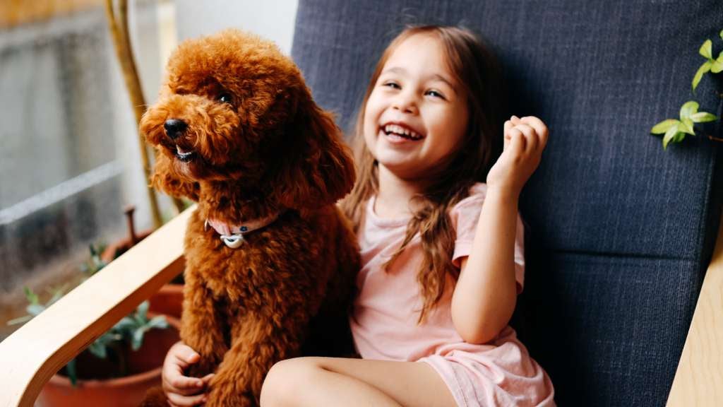 Best dog breeds for families | Real Insurance
