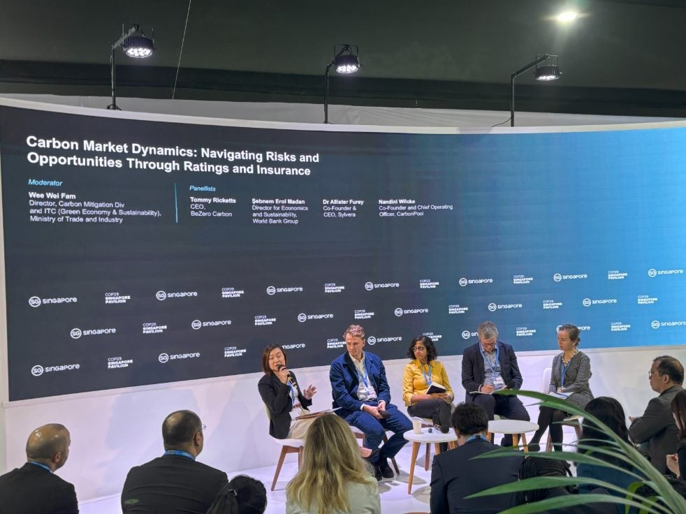 COP29 Update: Actuaries Ramping Up Climate and Sustainability ...