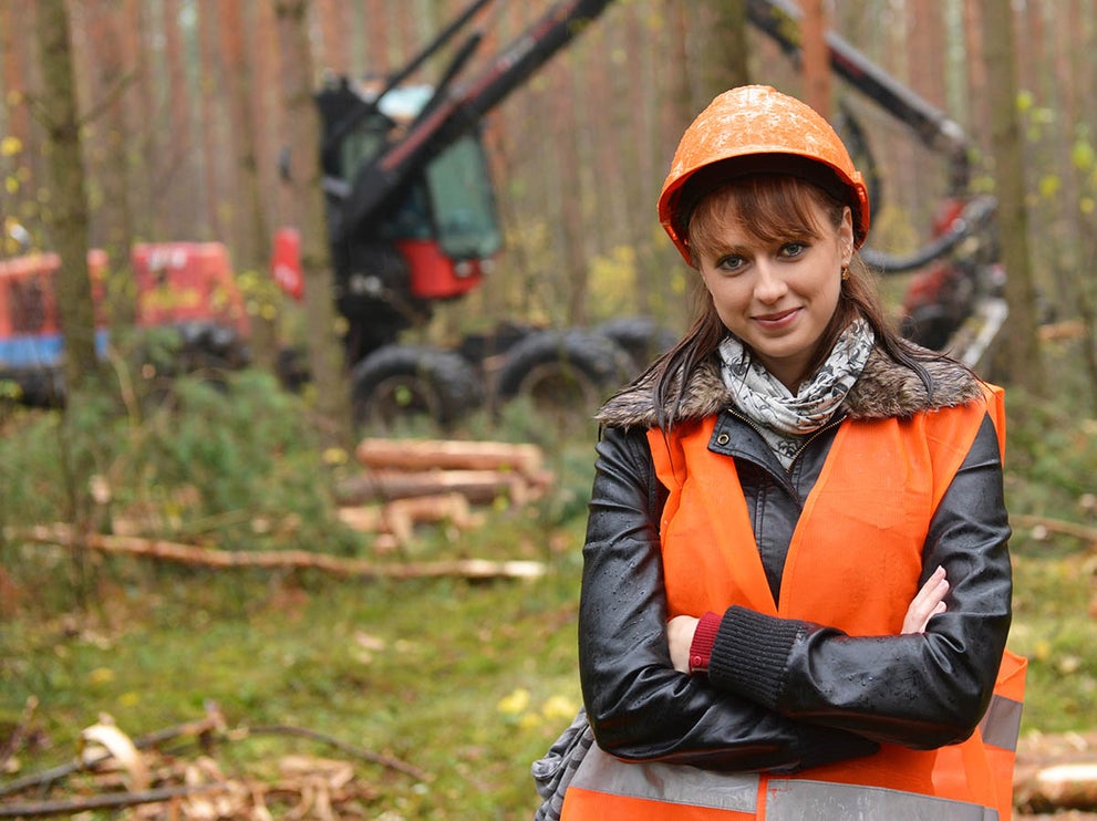 Tree fatalities continue to concern workers | Redlich’s Injury Lawyers