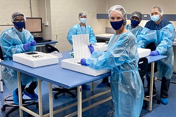 Austrade export services