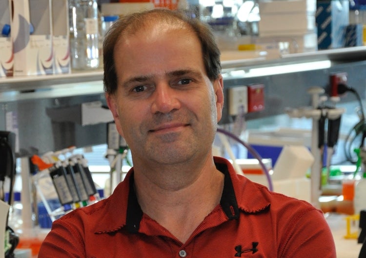 Using our immune system to overcome cancer | Cancer Council