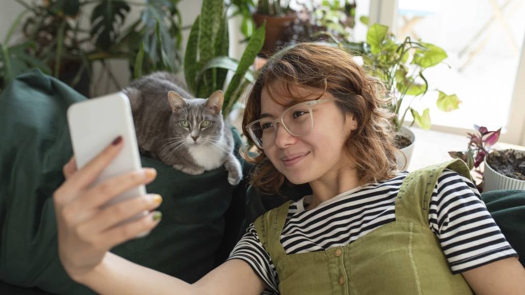 The costs of owning a cat: revealed | Choosi