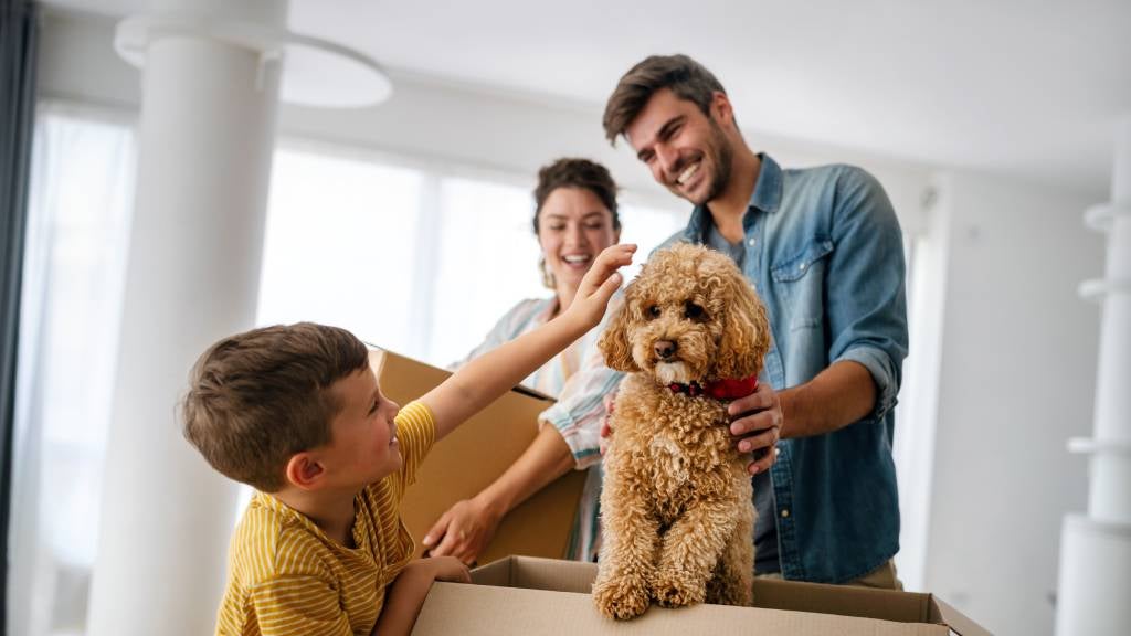 Understanding the benefits of pet insurance | Choosi