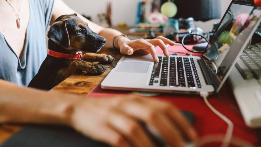 How to read a PDS - Part 2 | Choosi