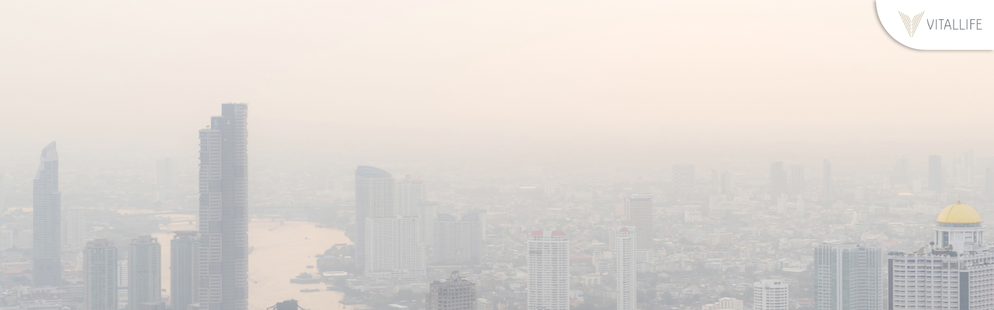 2022-11-11-Harmful dust and PM2.5