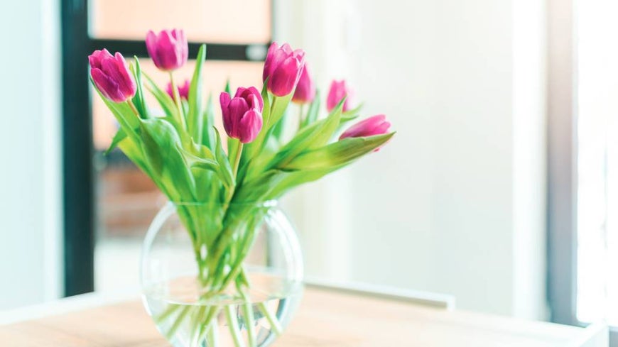 Easy home décor ideas for spring | Australian Seniors