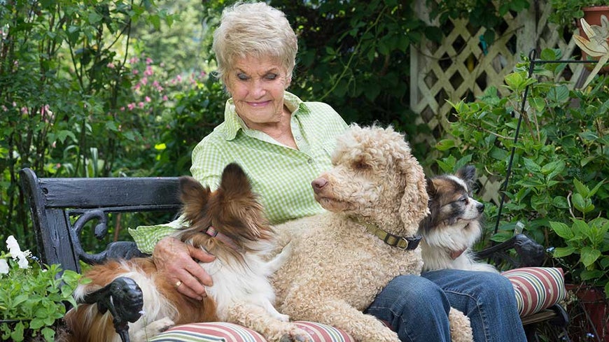 Benefits of owning a pet for over 50s | Australian Seniors