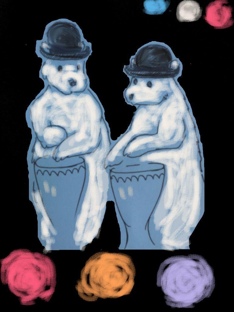 Bowler Bears | triple j Unearthed