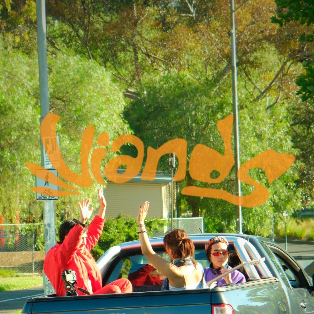 VIANDS | triple j Unearthed