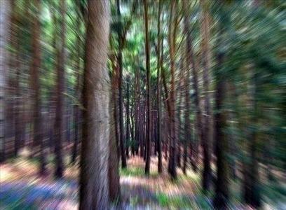 Dodey dodey | triple j Unearthed