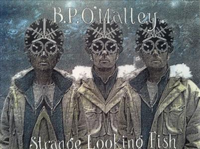 BP O'MALLEY | triple j Unearthed