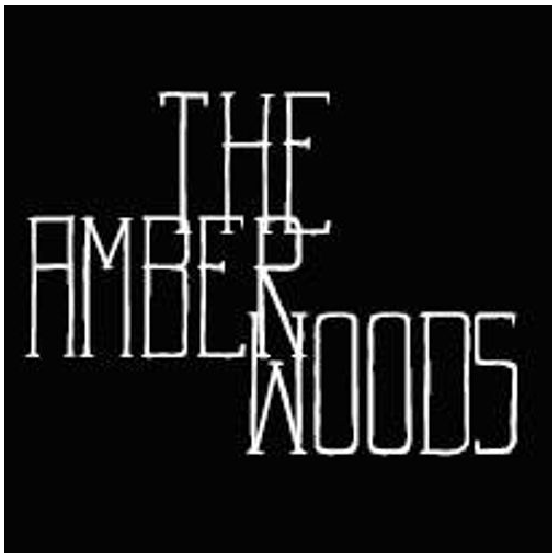 The Amber Woods | triple j Unearthed