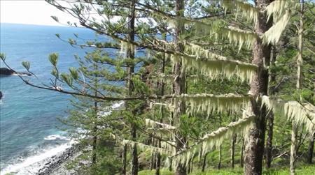 Adam Friend | triple j Unearthed