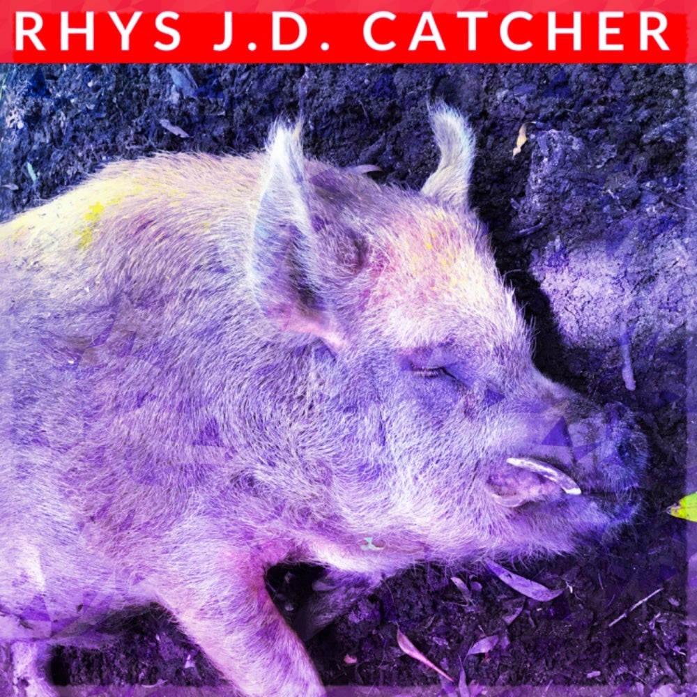 Rhys J.D. Catcher | triple j Unearthed