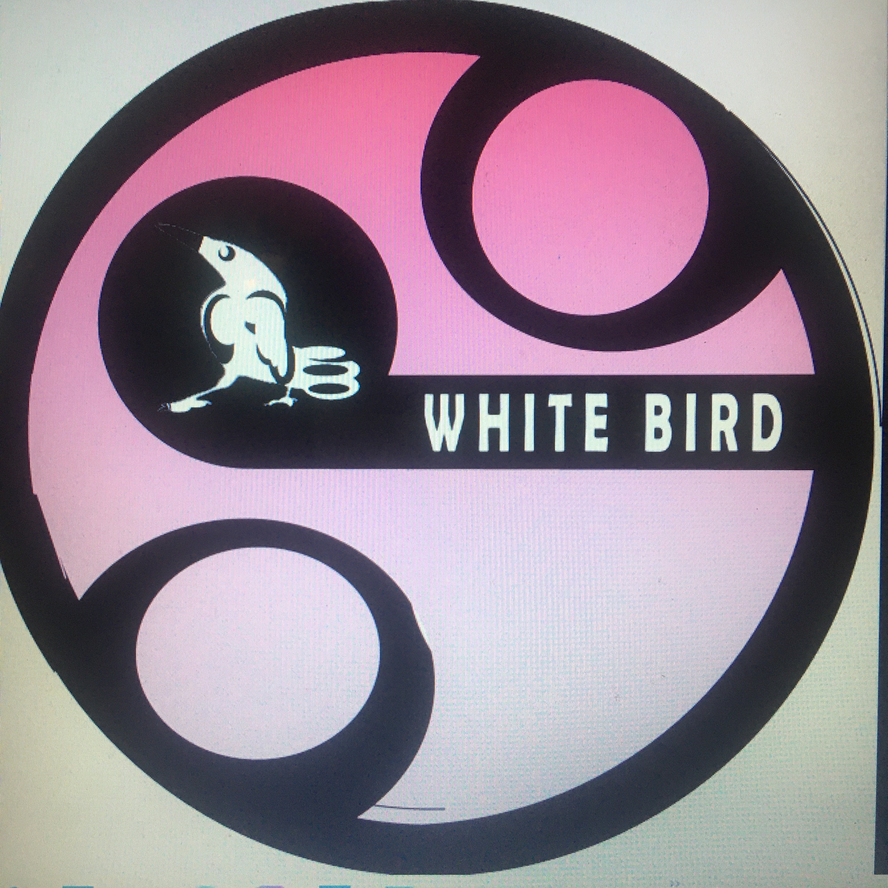 White Bird | triple j Unearthed