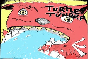 Turtle Tundra | triple j Unearthed