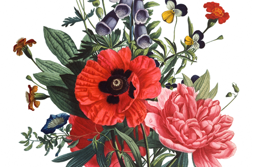 ZEFFA | triple j Unearthed