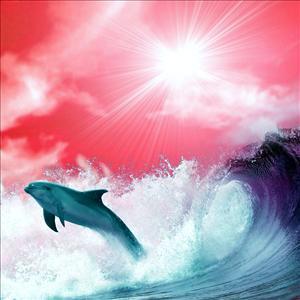 Wave Racer | triple j Unearthed