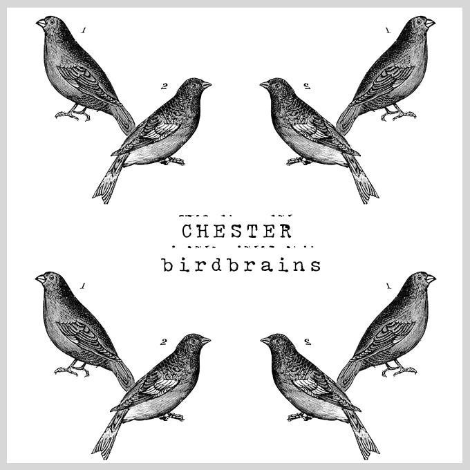 Chester | triple j Unearthed