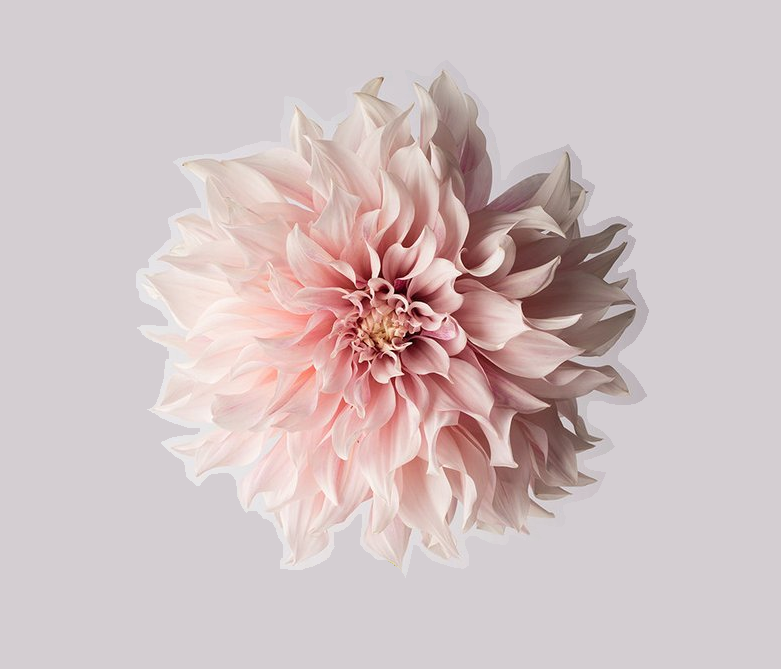 Rhiannon Paige | triple j Unearthed