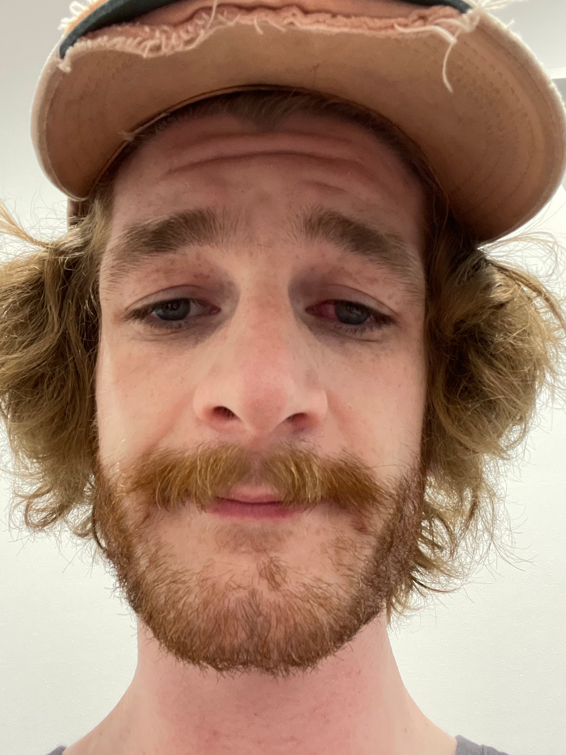 Lemur | triple j Unearthed