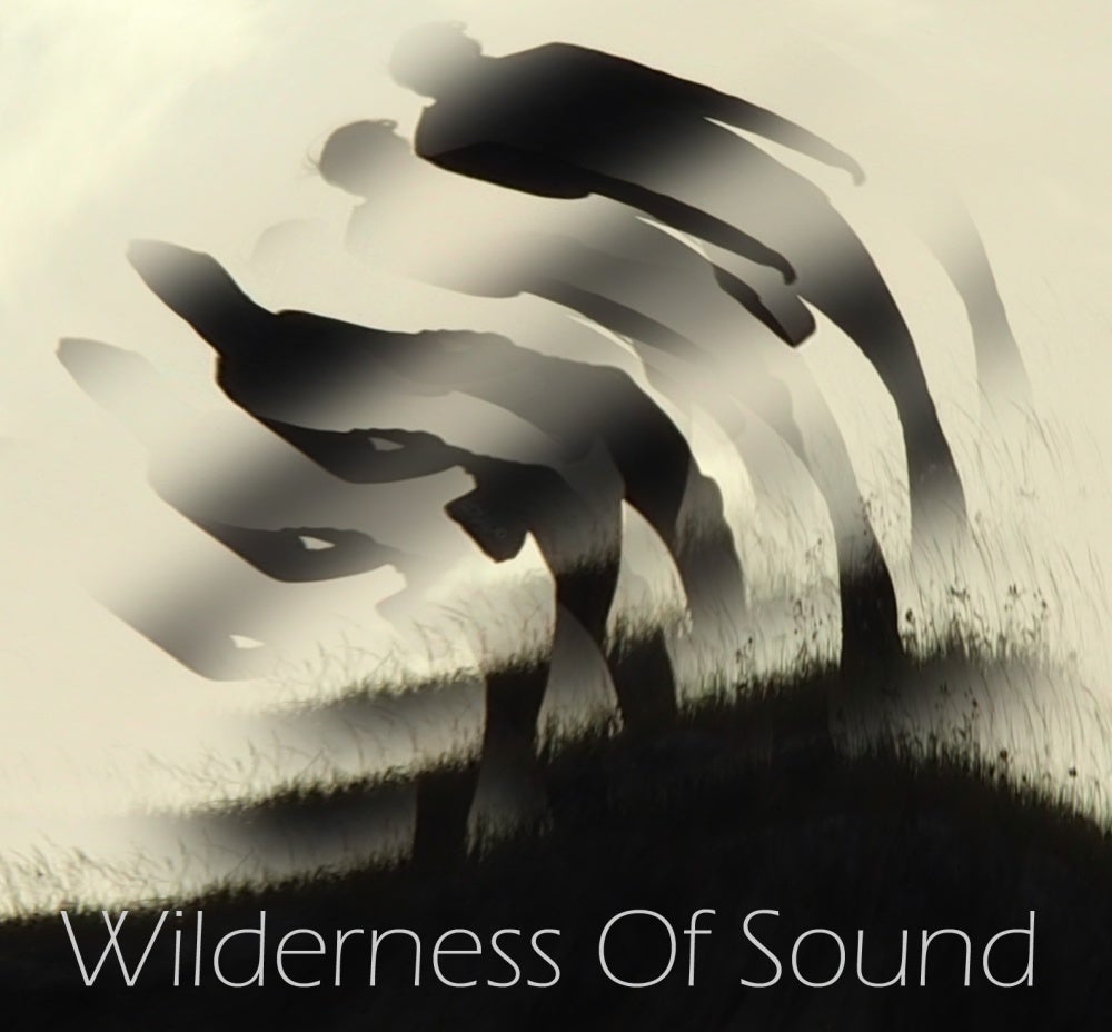 Wilderness Of Sound | triple j Unearthed