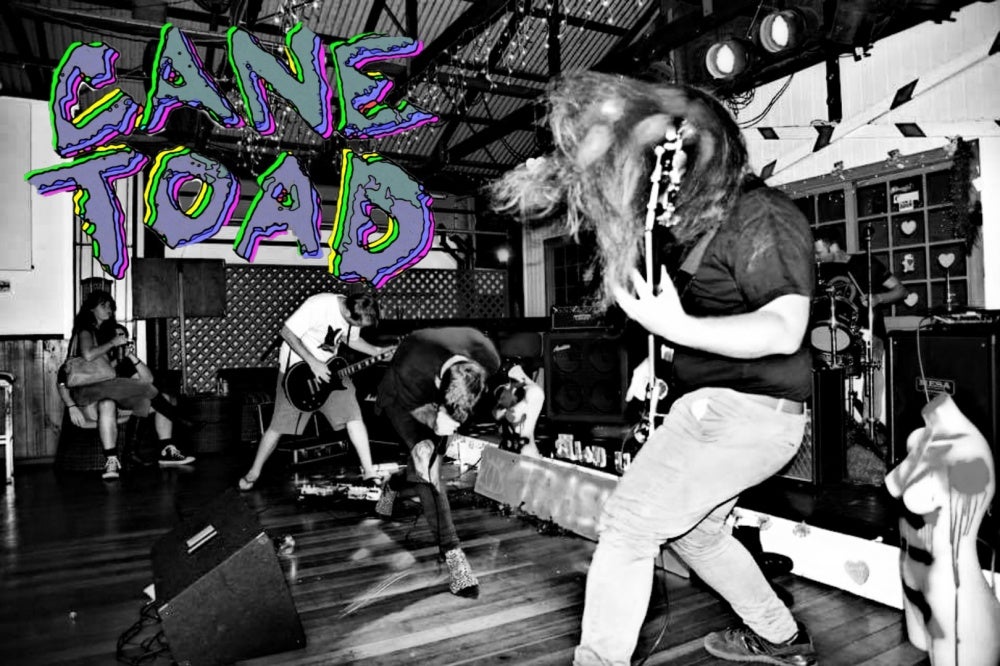 Cane Toad | triple j Unearthed