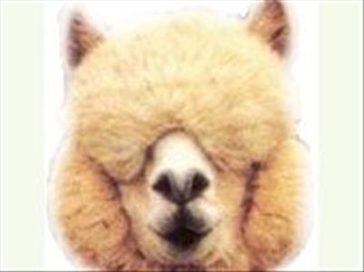 **Max Simon** | triple j Unearthed