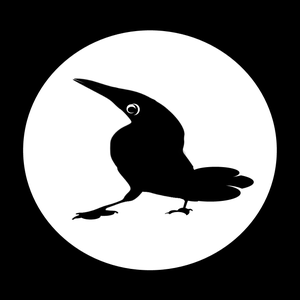 White Bird | triple j Unearthed