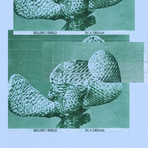 Bellero Shield | triple j Unearthed