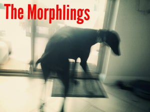 The Morphlings | triple j Unearthed