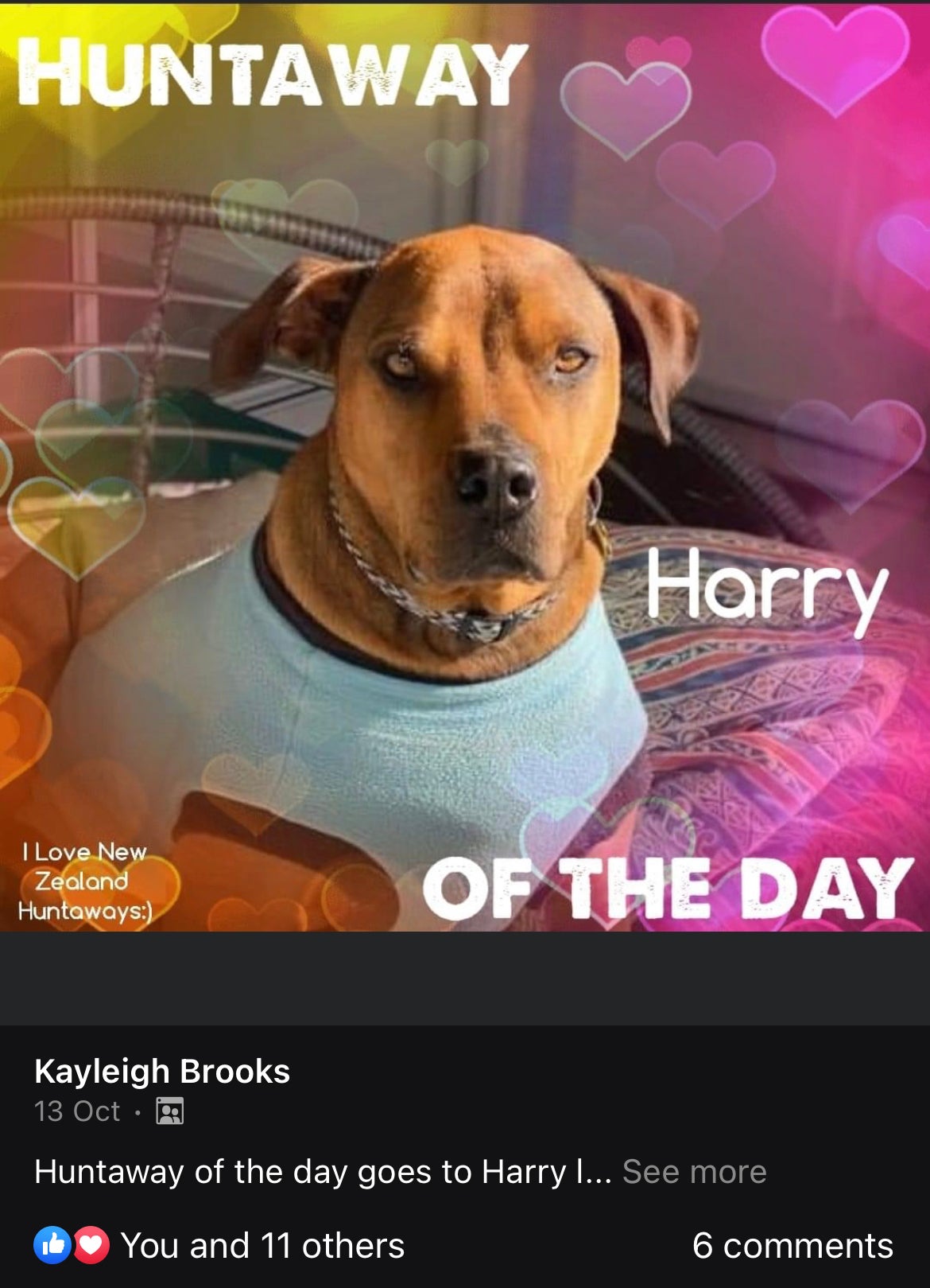 HRH Harry | triple j Unearthed