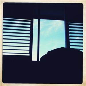 Charles Murdoch | triple j Unearthed