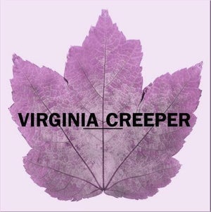 Virginia Creeper | triple j Unearthed