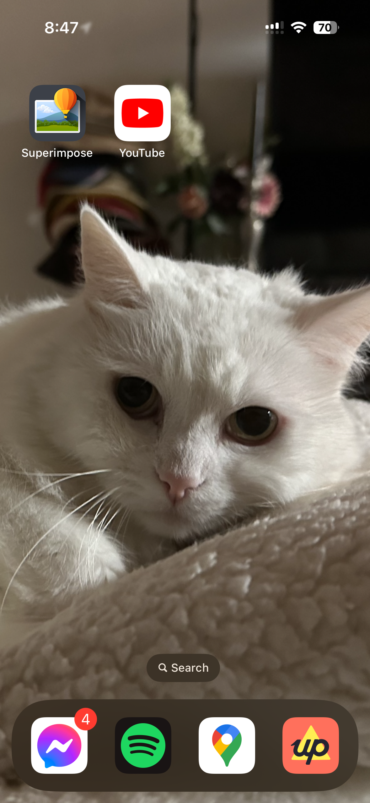 adeli | triple j Unearthed