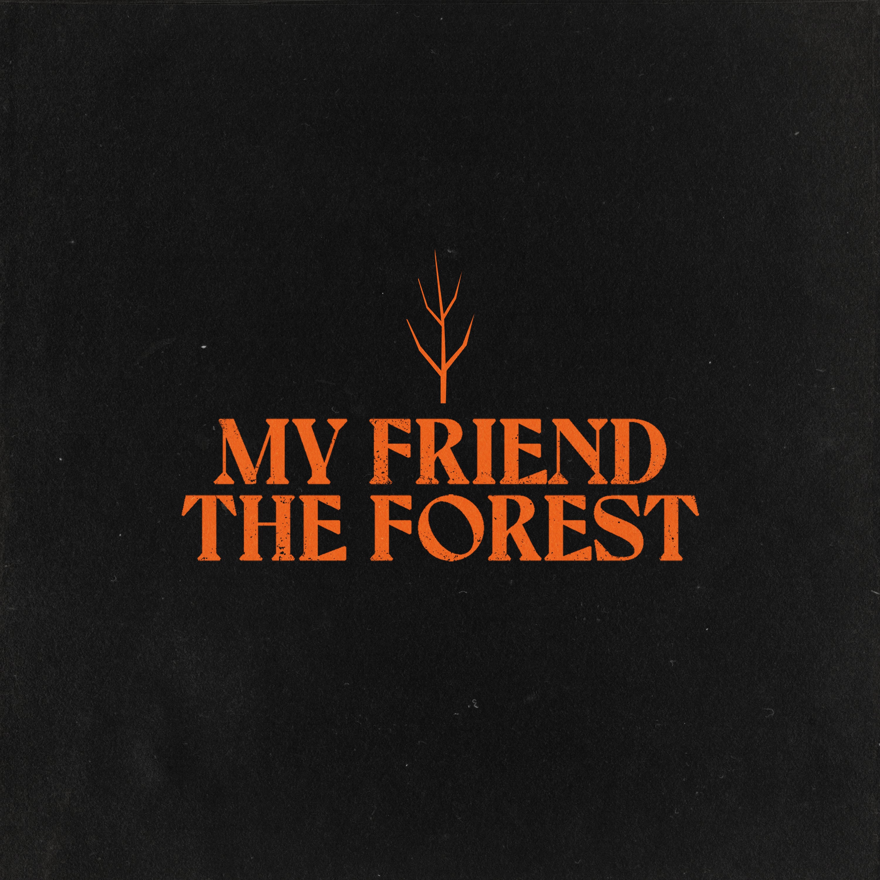 My Friend the Forest | triple j Unearthed