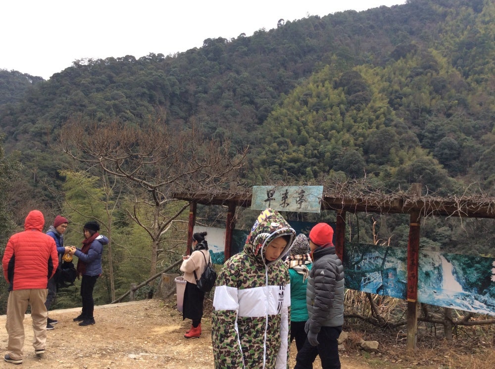 Roger Rari | triple j Unearthed