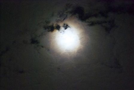 the DisgruntleD | triple j Unearthed