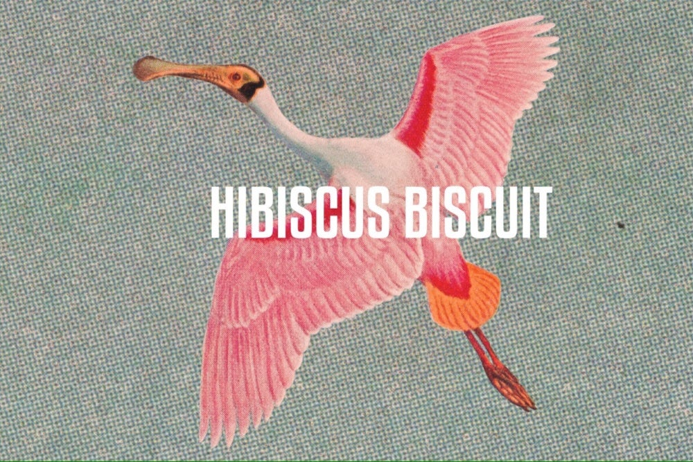 Hibiscus Biscuit | triple j Unearthed