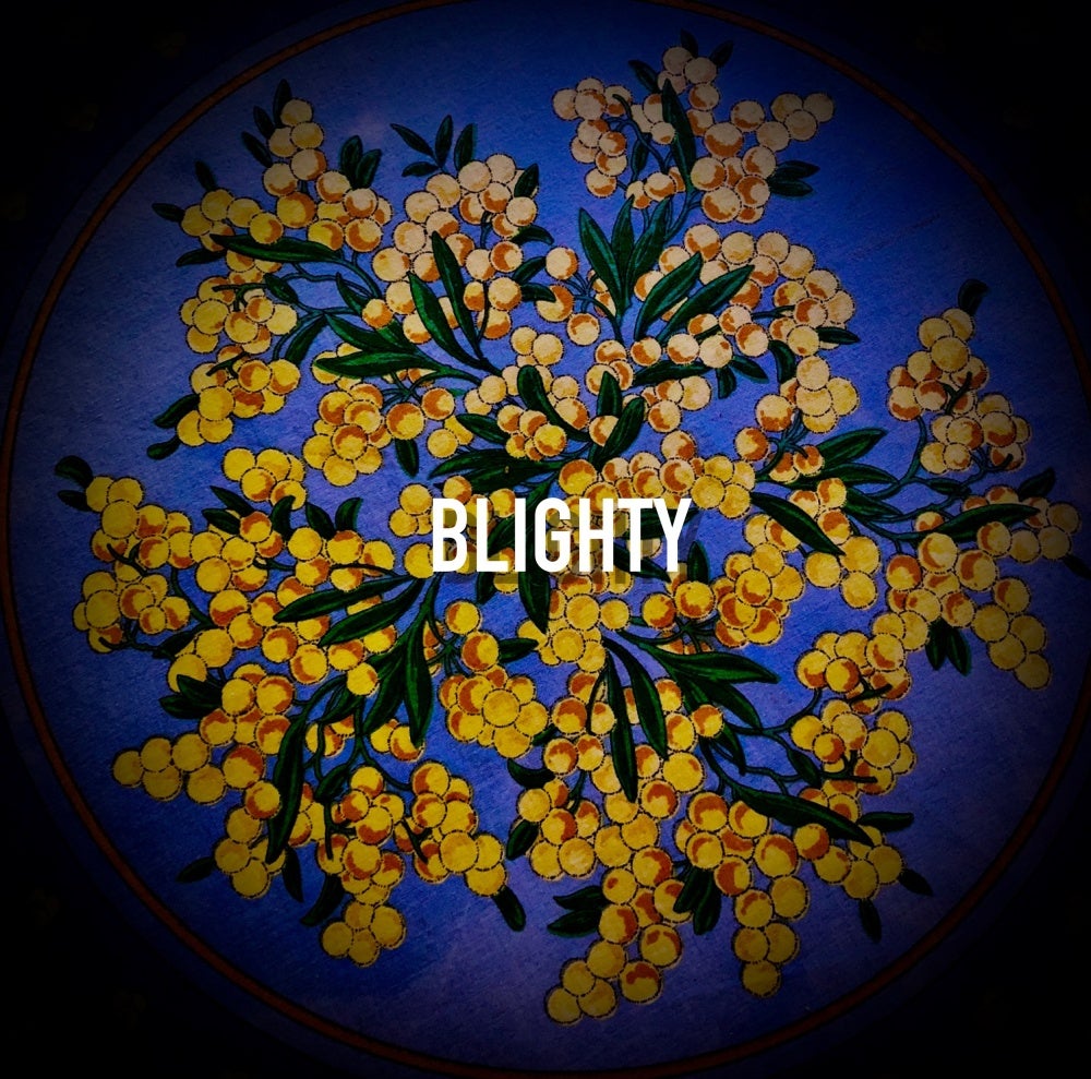 Blighty | triple j Unearthed