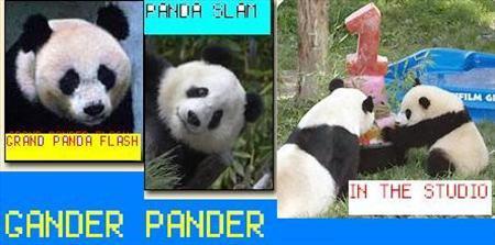 Gander Pander | triple j Unearthed