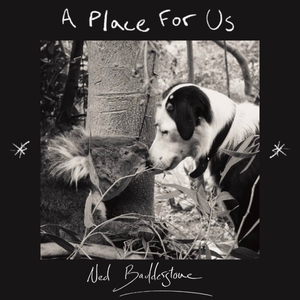 Ned Baulderstone - triple j Unearthed