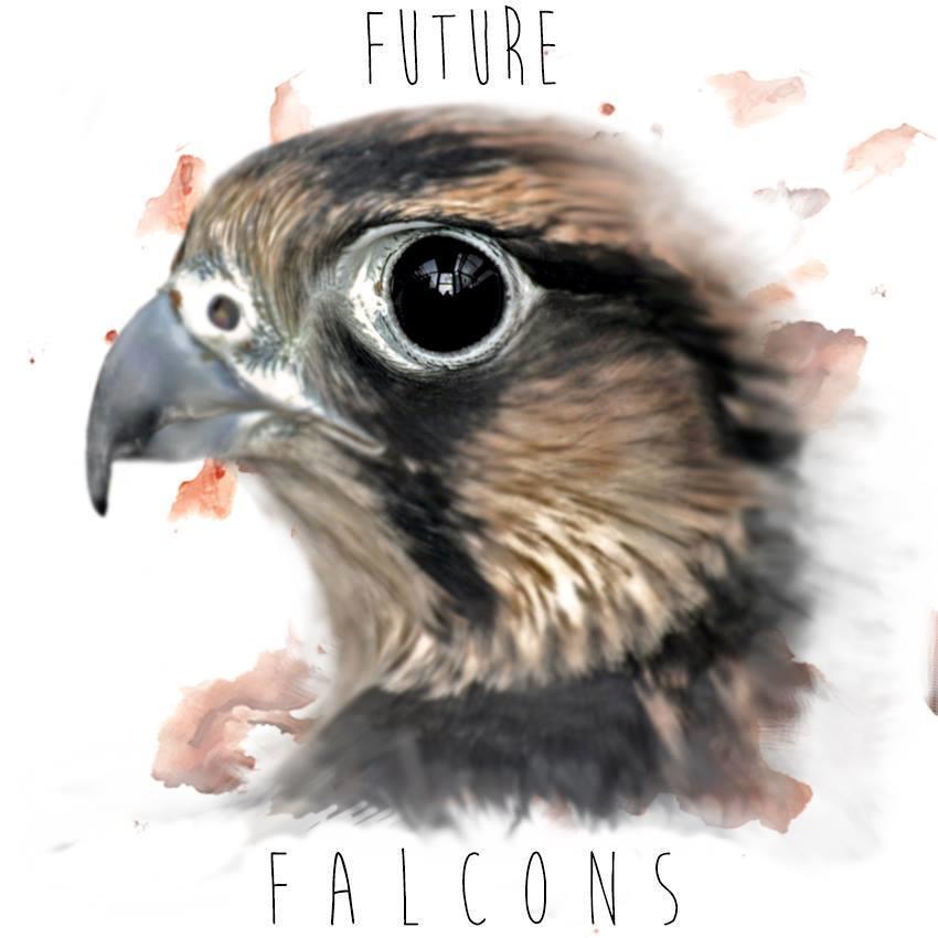 Future Falcons | triple j Unearthed