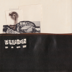 Dogtooth | triple j Unearthed