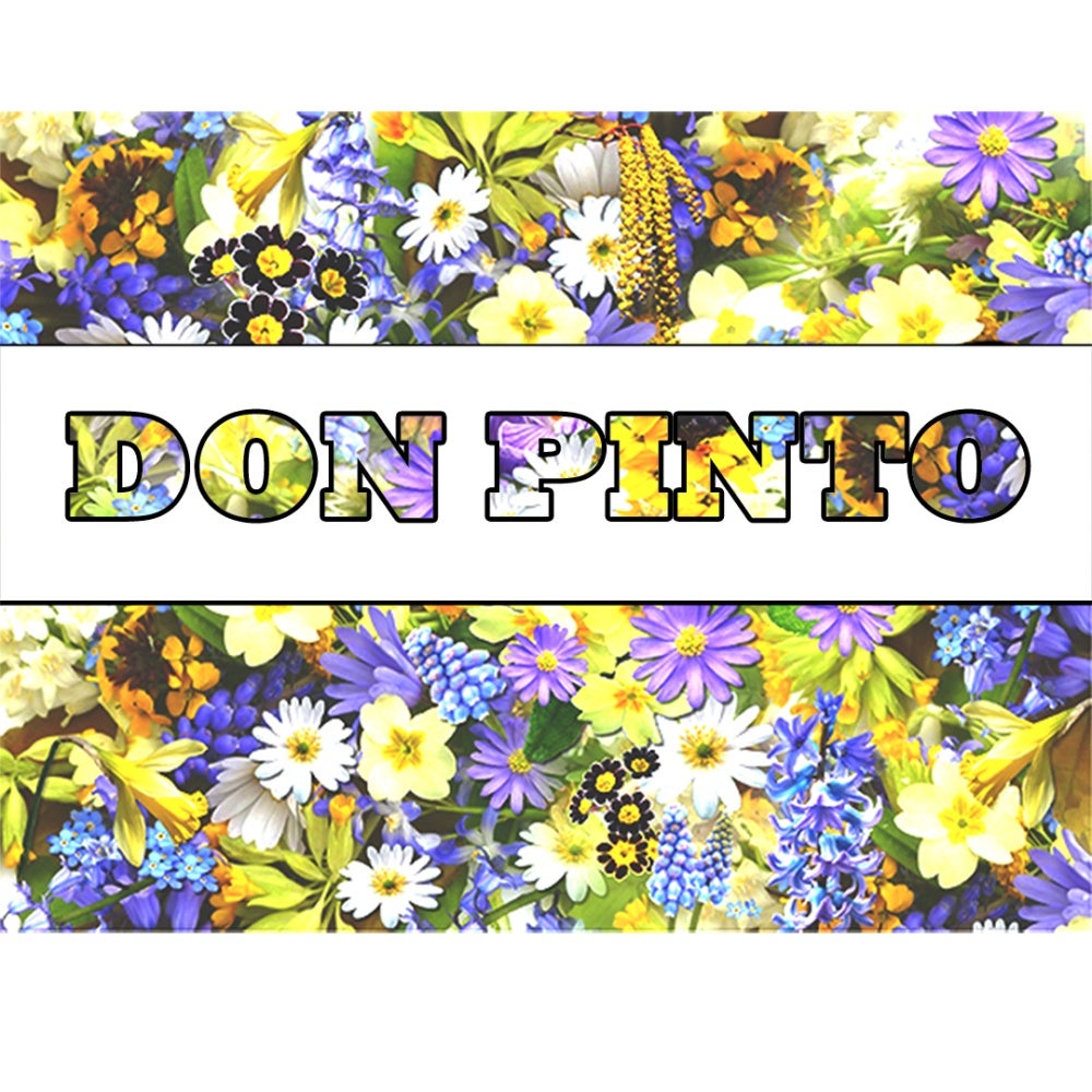 Don Pinto | triple j Unearthed