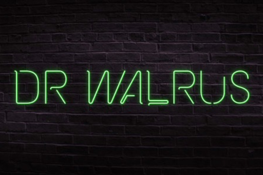 Dr Walrus | triple j Unearthed