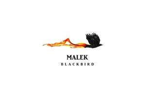 Malek | triple j Unearthed